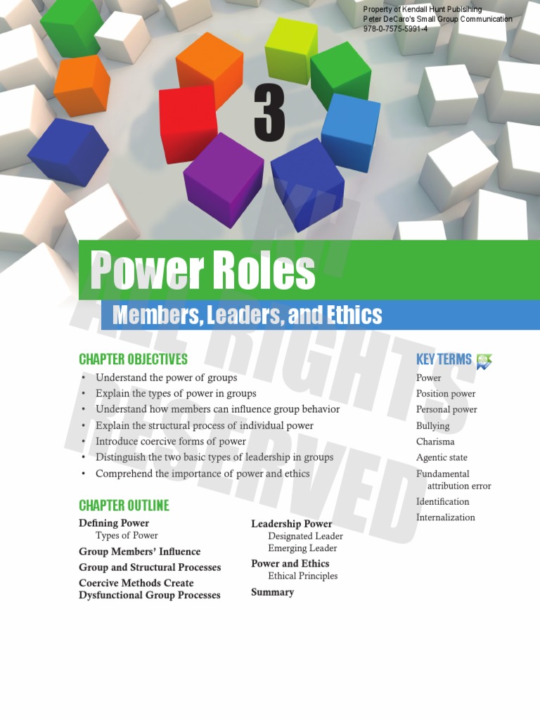 Power Roles: Members, Leaders, and Ethics | PDF | Power (Social And ...