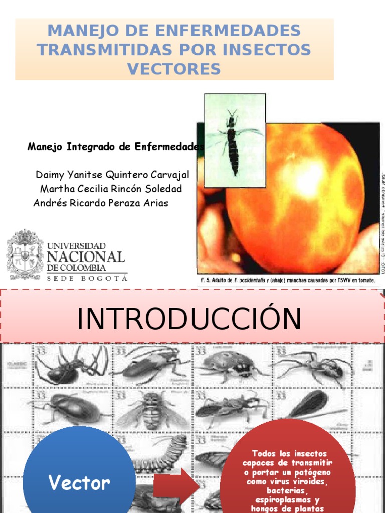 Manejo de Enfermedades Transmitidas Por Insectos Vectores | PDF | Virus ...
