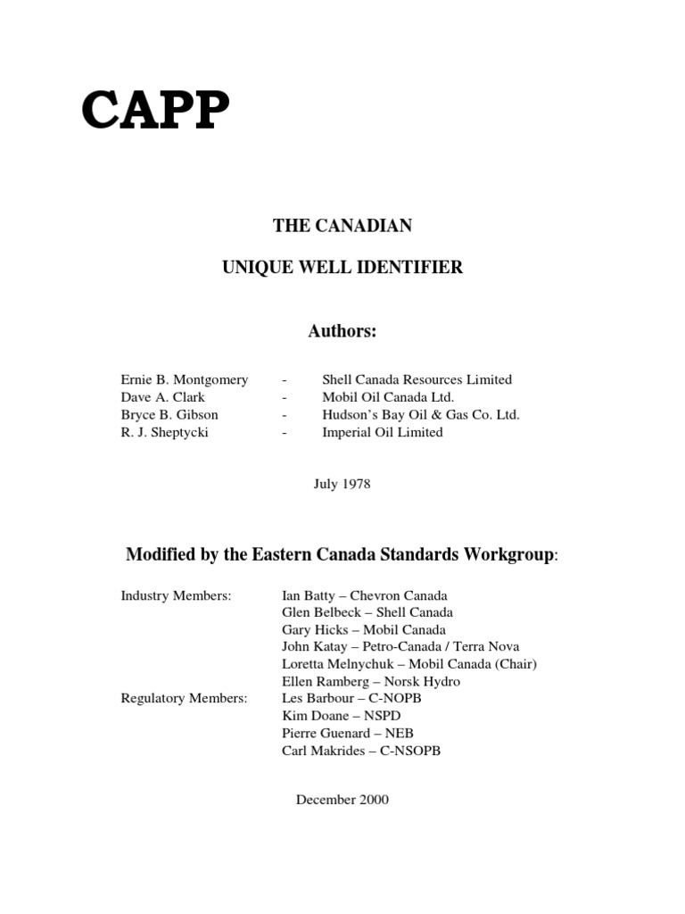Unique - Well - Identifier Techniques | PDF | Latitude | Identifier