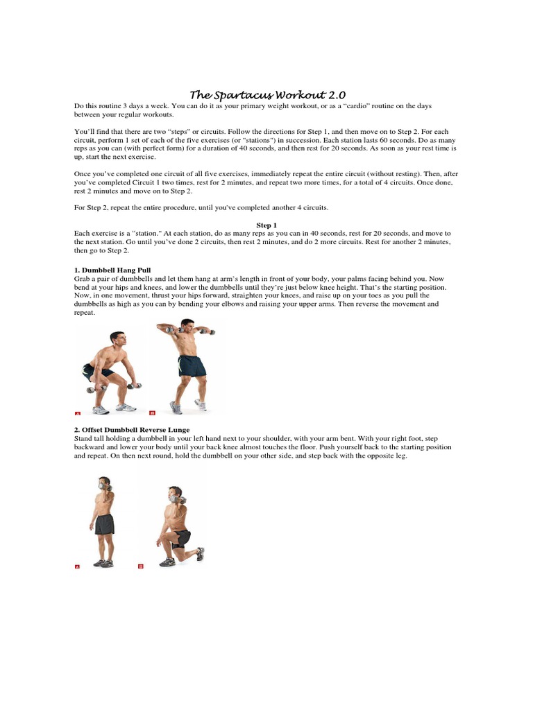 Spartacus Workout 2.0 | PDF | Human Anatomy | Recreation