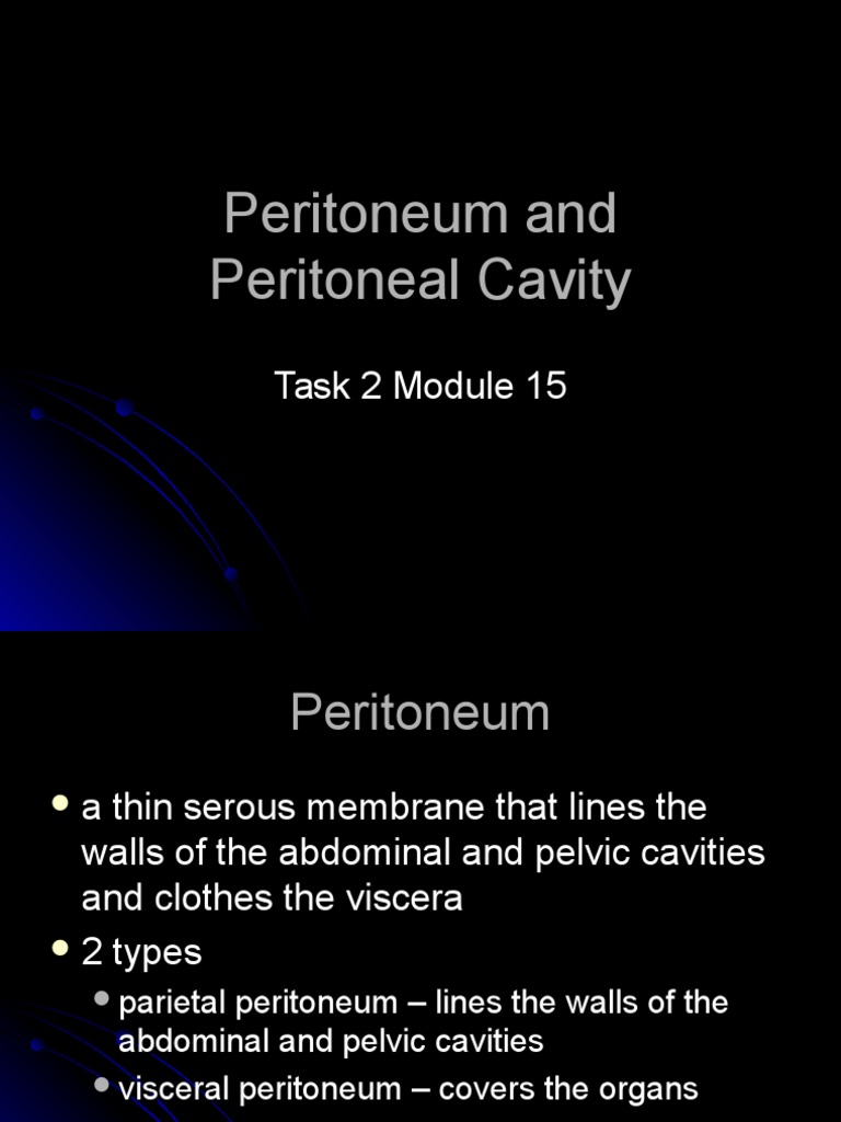 Peritoneum and Peritoneal Cavity | PDF | Peritoneum | Animal Anatomy