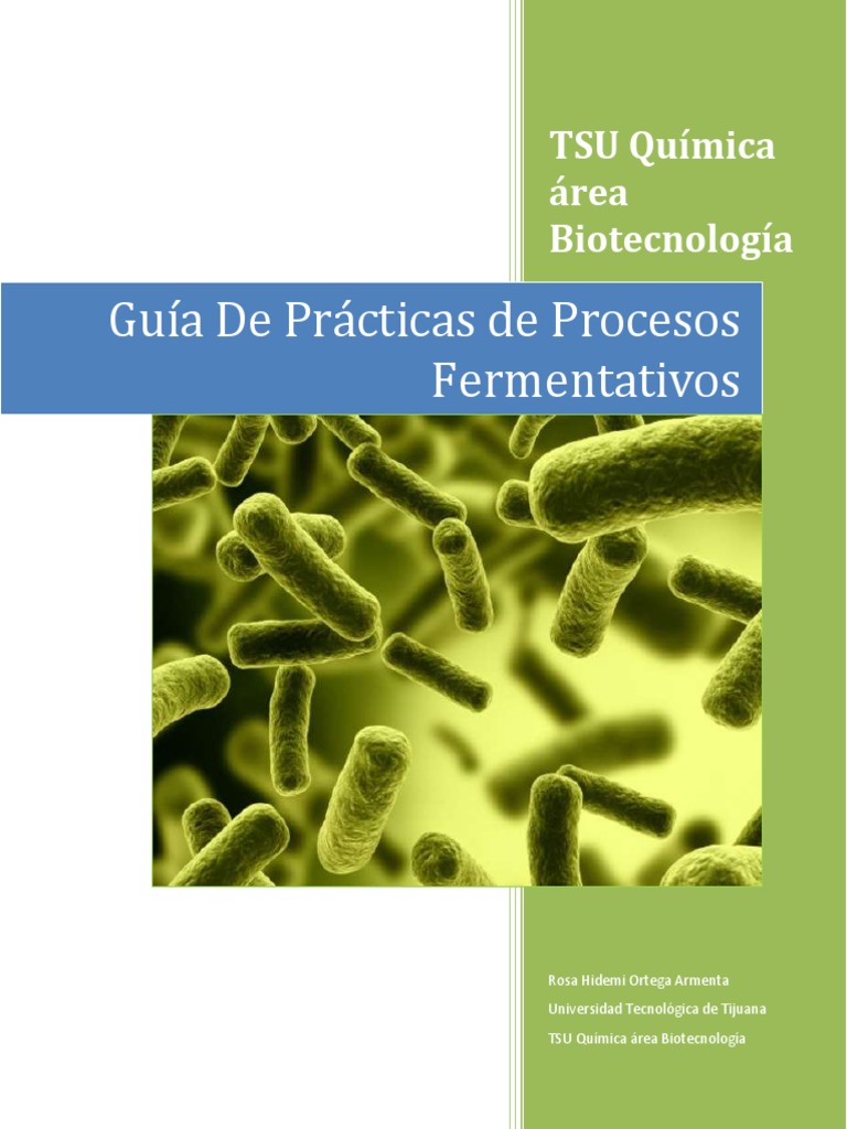 Guía de Prácticas de Procesos Fermentativos | PDF | Vinagre | Vino
