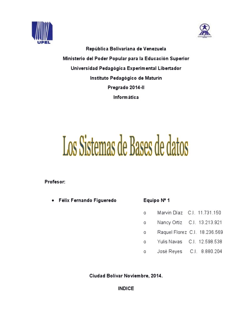 Informe Base de Datos | PDF | SQL | Bases de datos