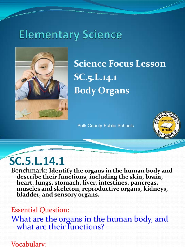 SC 5 L 14 1-Body Organs | PDF | Human Digestive System | Human Body