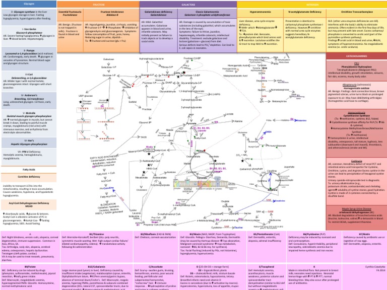 Biochemistry Metabolic Pathways Pathologies Pdf Biochemistry