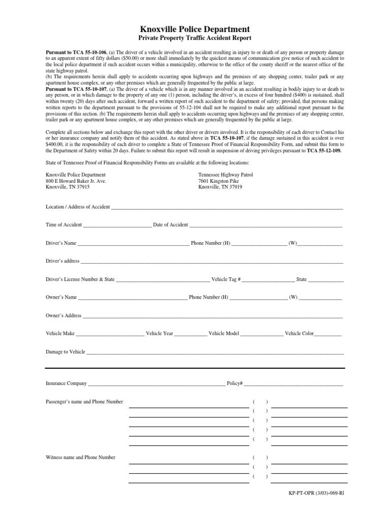 Ppta Reportform PDF | PDF | Traffic Collision | Driving