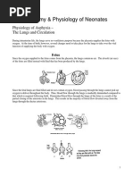 What Is Primary Complex | PDF | Tuberculosis | Infection
