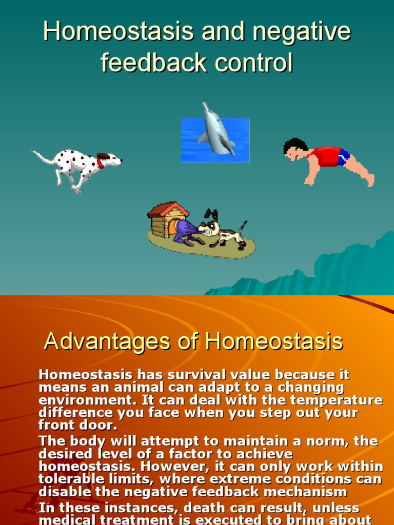 Homeostasis and Negative Feedback Mechanisms | PDF | Homeostasis ...