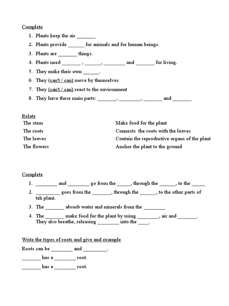 Unit4 3primaria Science Exam | PDF