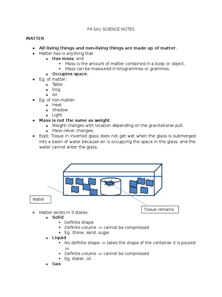 p4 Sa1 Science Notes | PDF | Leaf | Heat