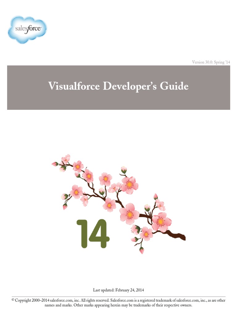 Salesforce Pages Developers Guide | PDF | Salesforce.Com | Java Script
