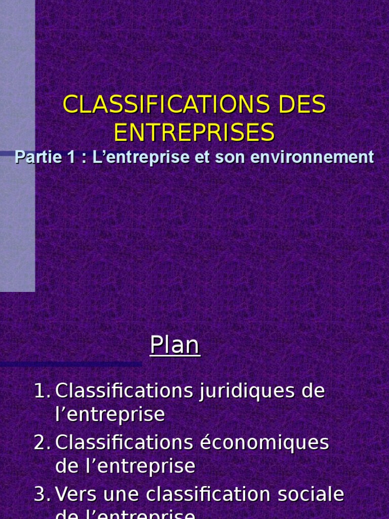 Classifications Des Entreprises | PDF | Petite ou moyenne entreprise ...
