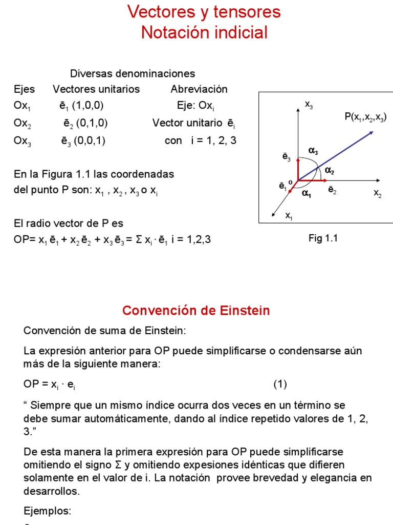 An Introduction to Vectors, Tensors, and Coordinate Transformations | PDF | Tensor | Permutación