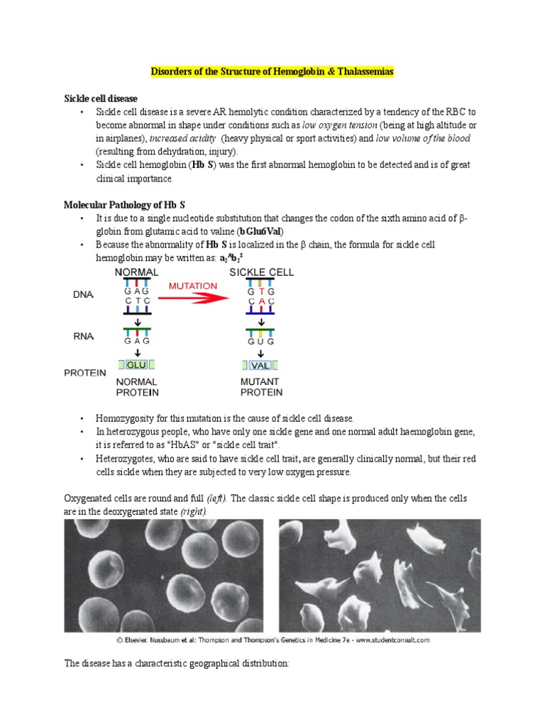 Lecture Notes-2-Sickle Cell, Thalassemia | Sickle Cell Disease | Hemoglobin