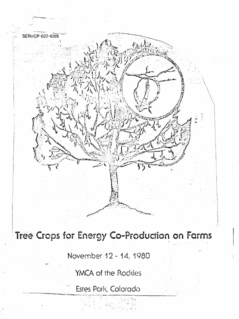 Tree Crops For Energy Co-Production On Farms | PDF | Grafting | Plant ...