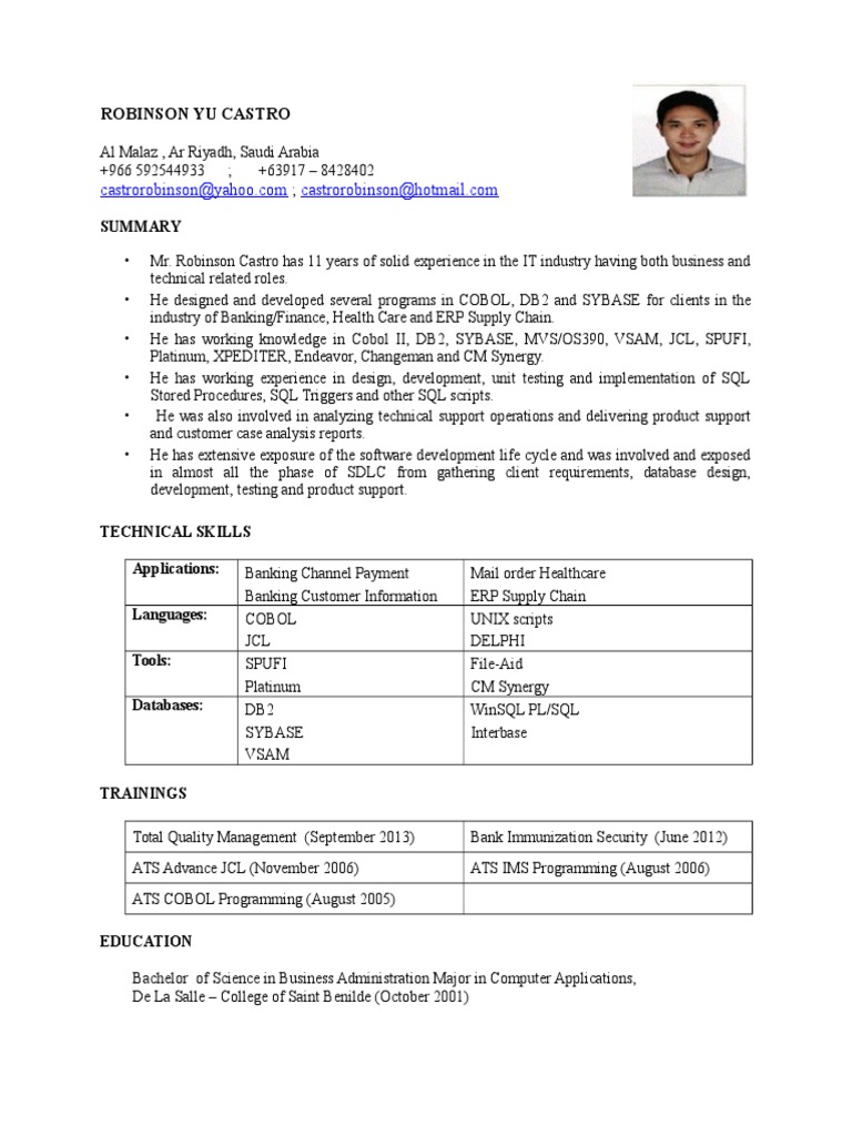 CV Example For IT | PDF | Ibm Db2 | Scripting Language
