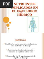 Azoados | PDF | Salud y bienestar