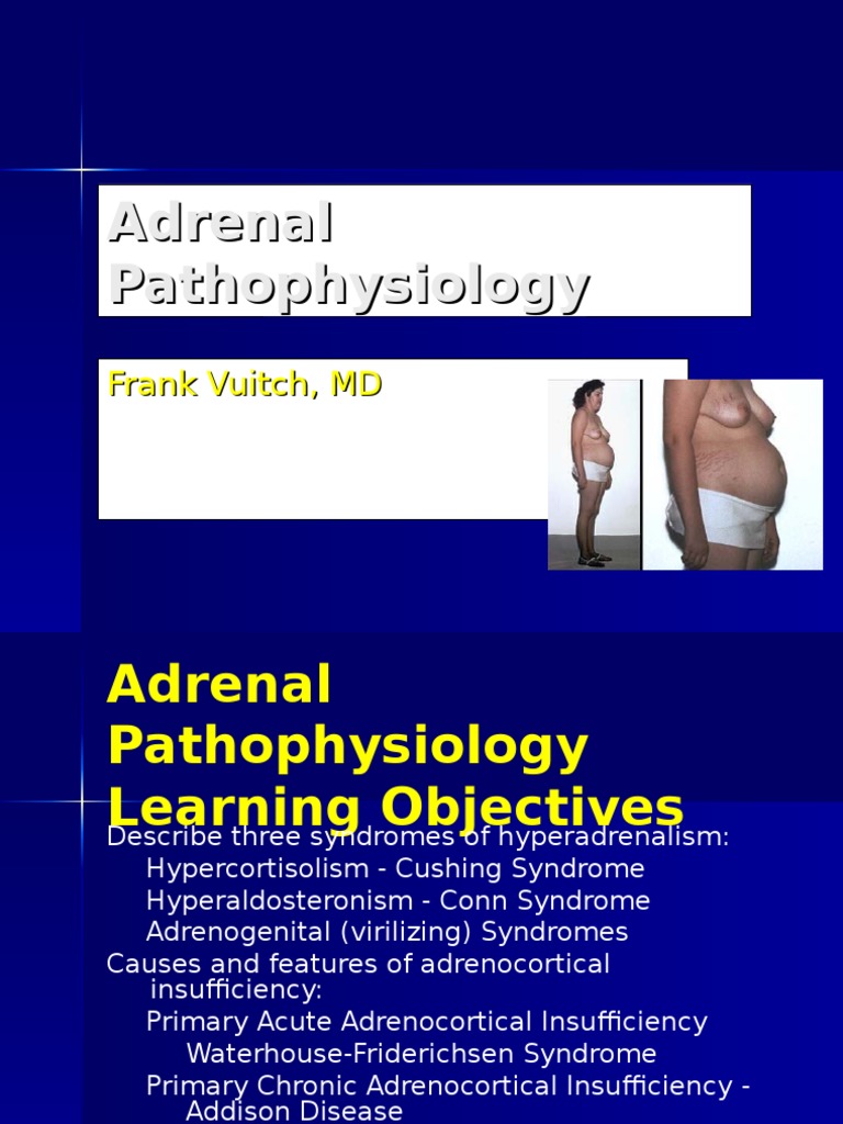 DSA 6 Adrenal13 | PDF | Adrenal Gland | Glands