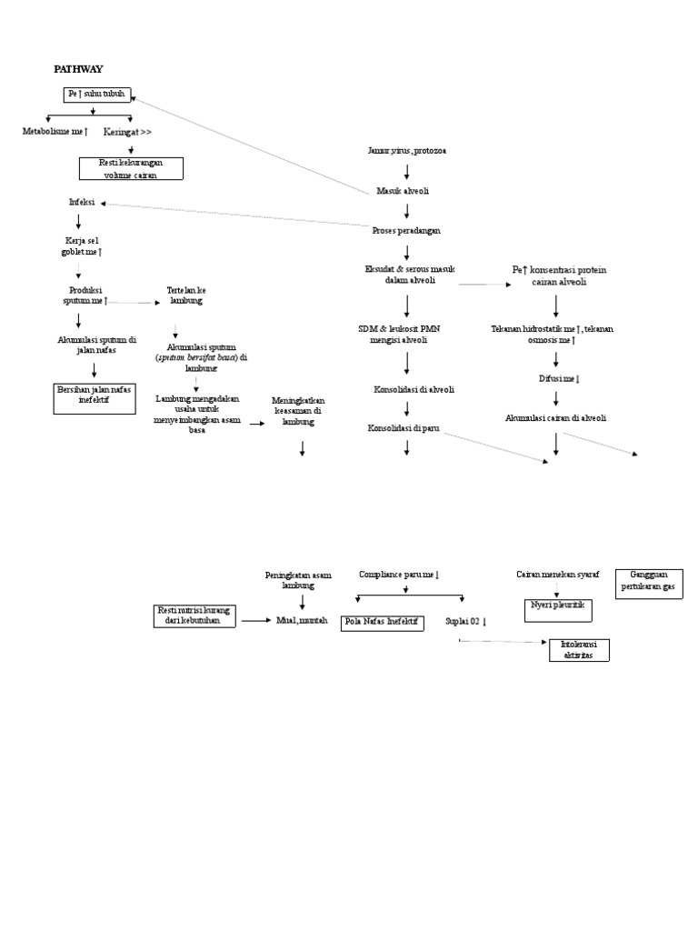 Pathway Pneumonia | PDF