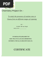 Class 12th Chemistry Project On Investigatory Test On Guava | PDF ...