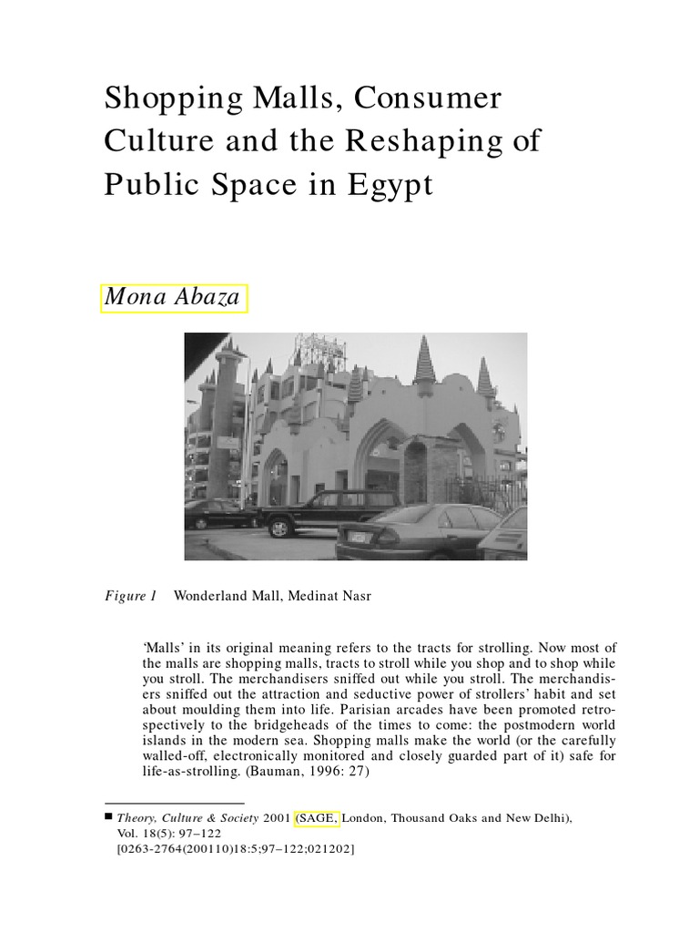 Public Space, Consumer Culture in Egypt | PDF | Egypt | Consumerism