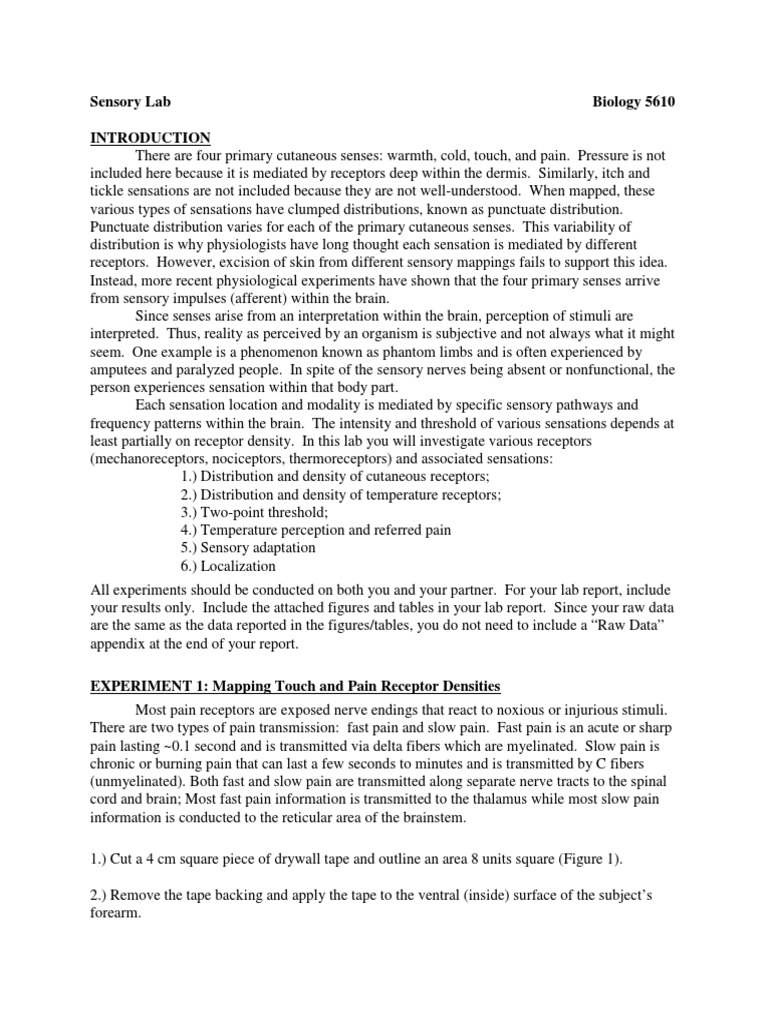 Sensory Lab | PDF | Perception | Senses