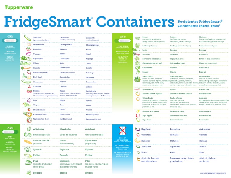 FridgeSmart Chart | PDF
