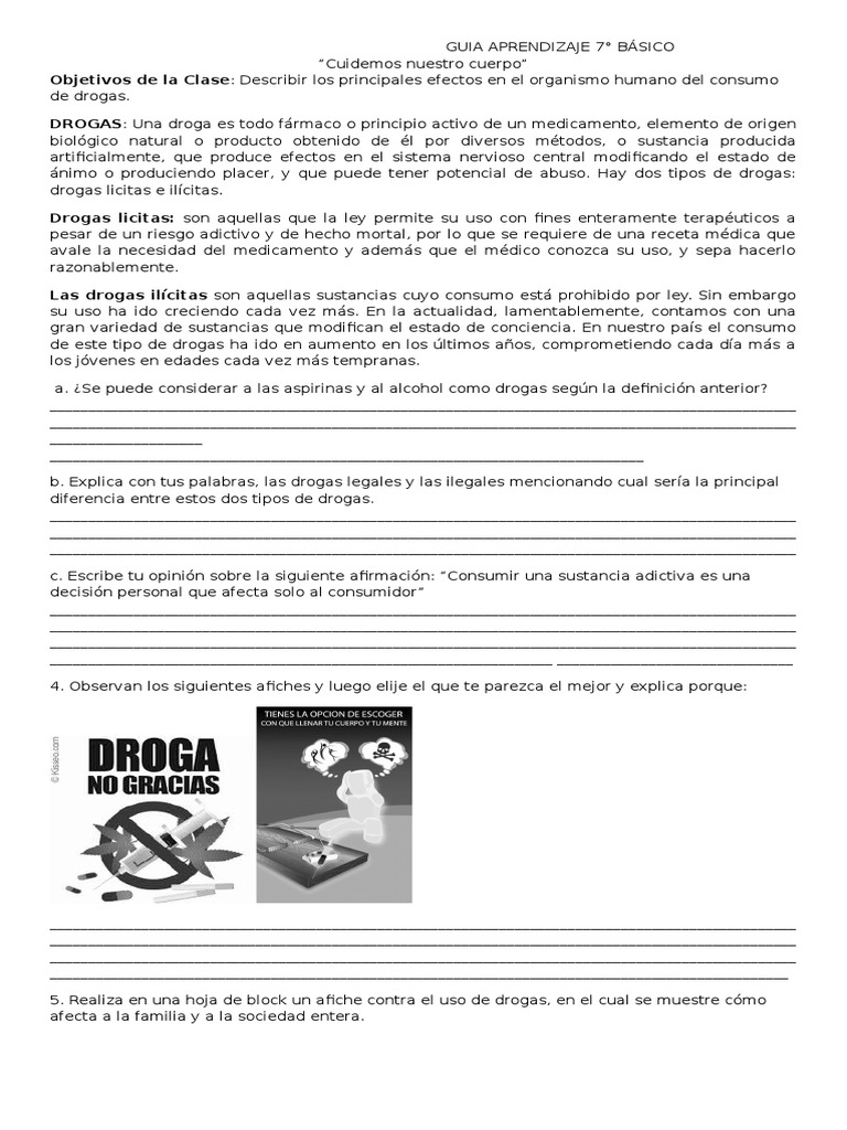 Prohibición de Sustancias Ilícitas | PDF | Fotosíntesis | Plantas