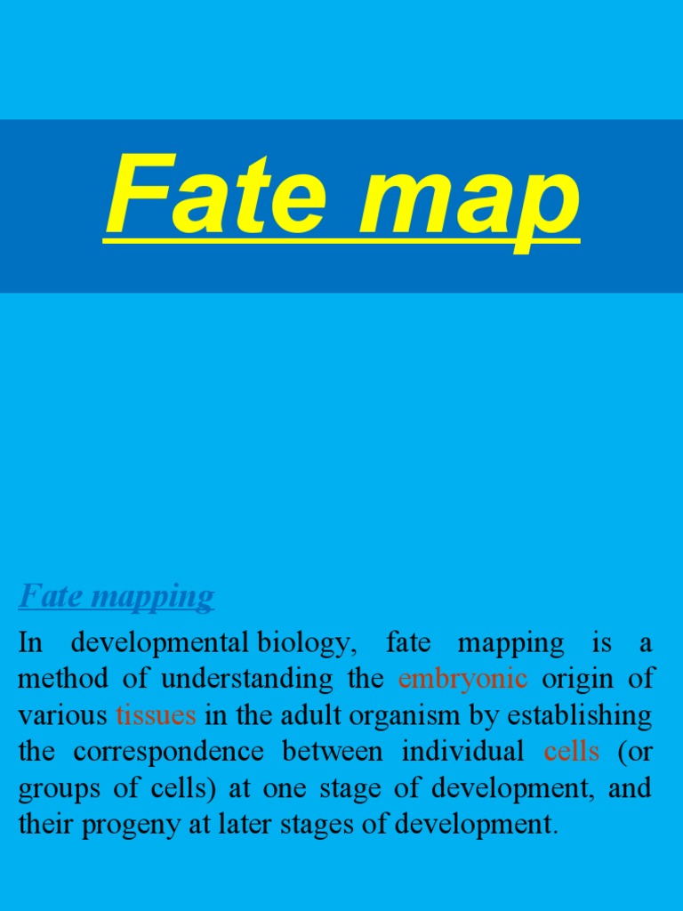 fate maps | Anatomy | Zoology