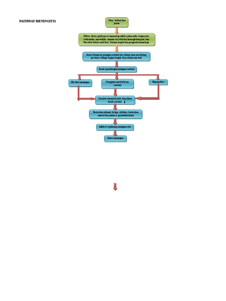 Pathway Meningitis New | PDF