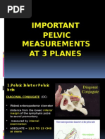 Female Pelvis Diameters Explained | PDF