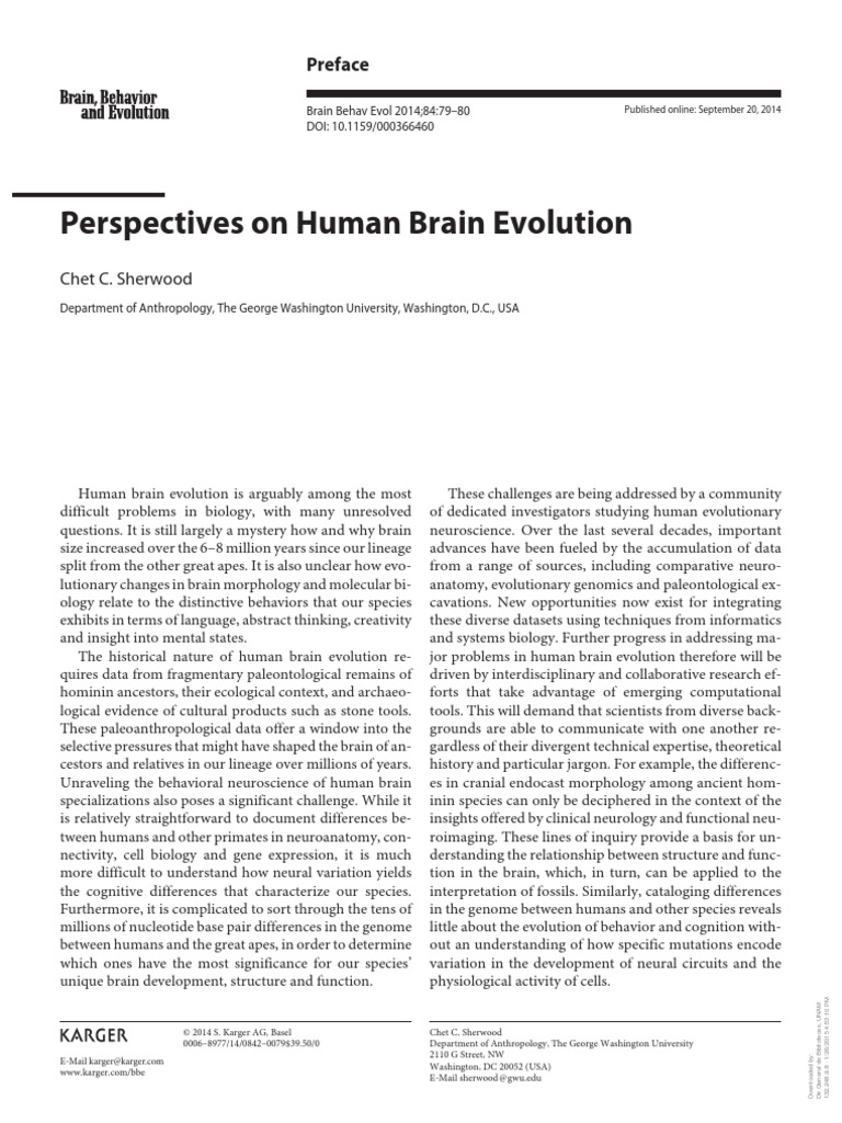 Perspectives On Human Brain Evolution | PDF | Brain | Evolution