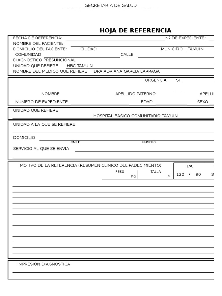 Formato Hoja de Referencia SLP | PDF