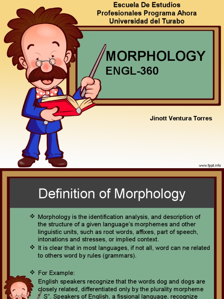 Morphology Presentation For Elementary Students | PDF | Morphology ...