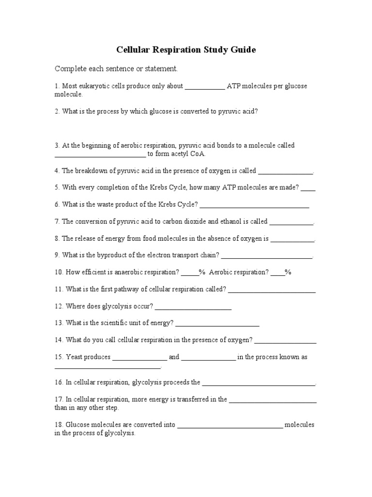 Cellular Respiration Study Guide | PDF | Cellular Respiration | Glycolysis