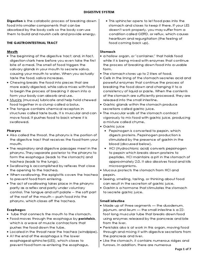 Digestive System Handout | PDF | Digestion | Stomach