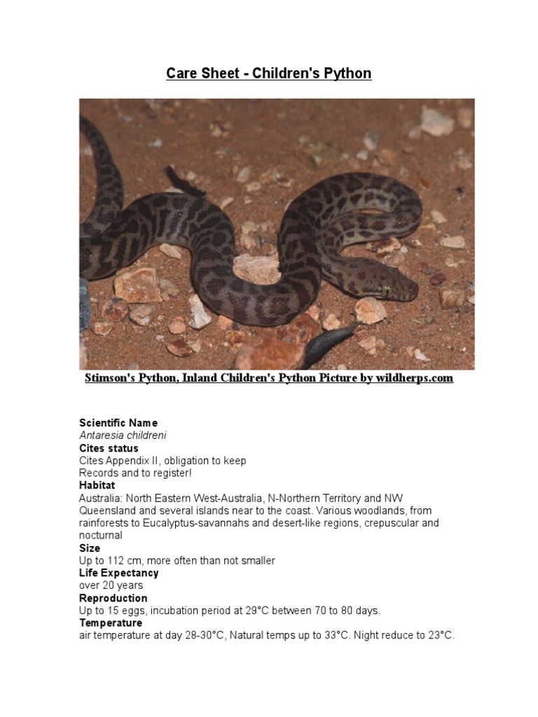 Care Sheet - Childrens Python | PDF | Vivarium | Organisms