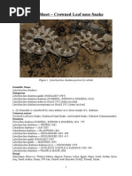 Care Sheet - Dumeril's Boa | PDF | Desert | Predation