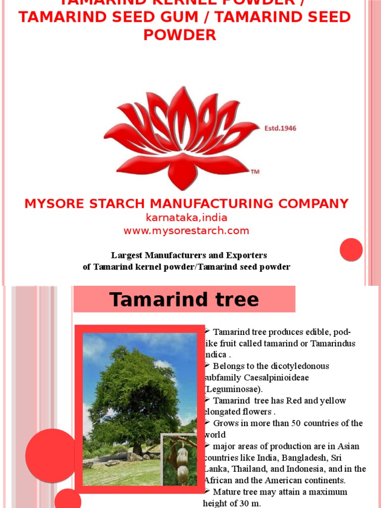 Tamarind Kernel Powder by Mysore Starch Manufacturing Company | PDF ...