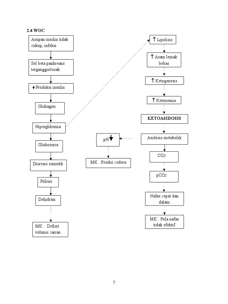 Woc Kad | PDF