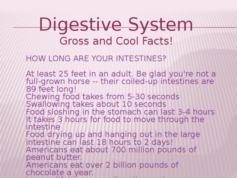 Cool Facts About the Digestive System | PDF