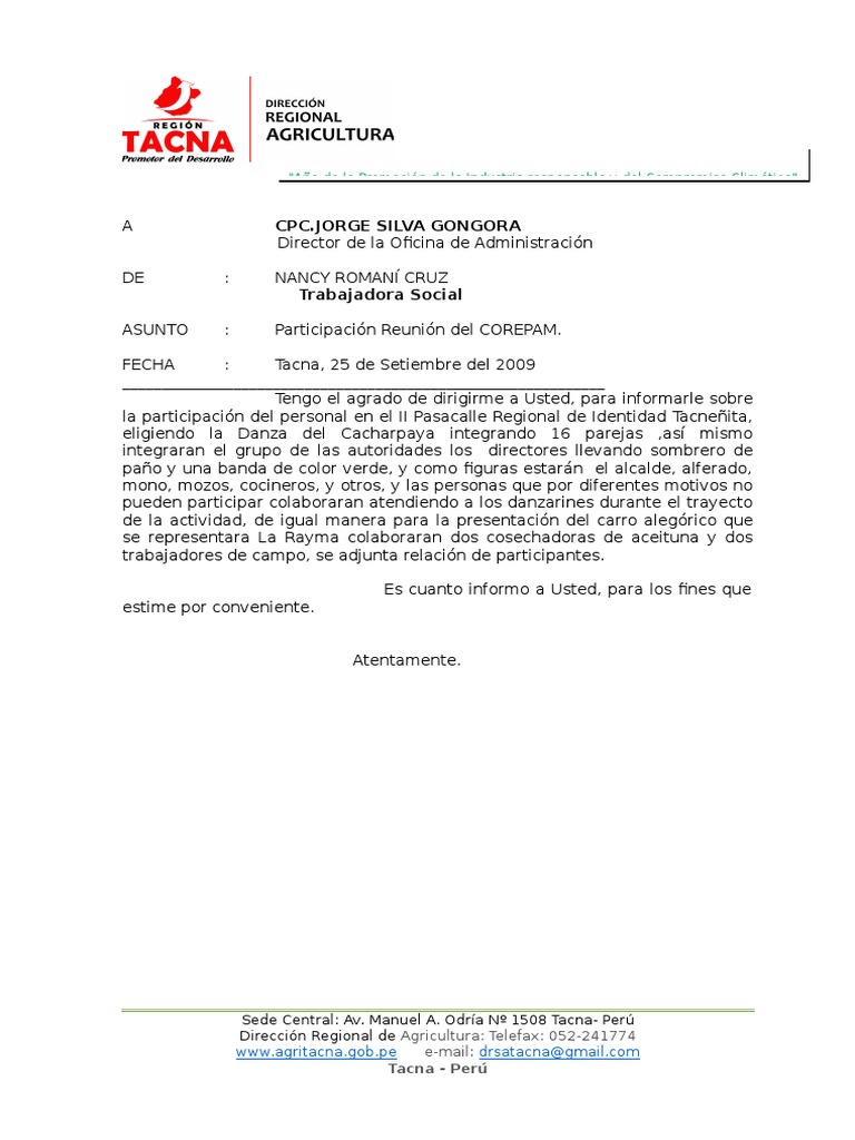 Modelo de Memo | PDF | Perú | Hospital