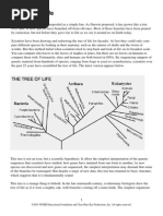 Evolutionary Tree of Life Poster Text Only | PDF