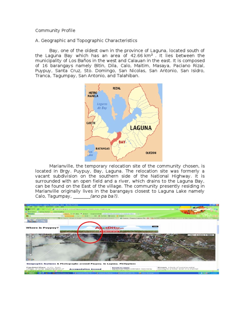 Barangay Profile of Bay, Laguna | PDF