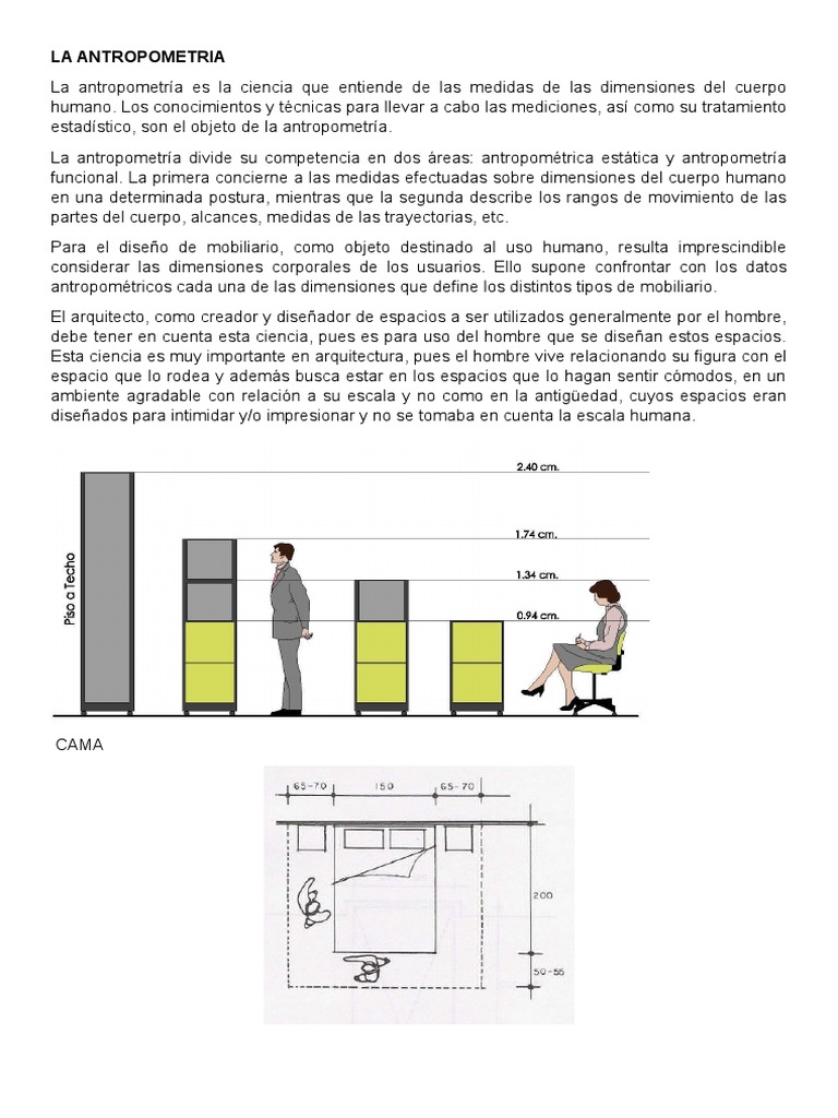 La Antropometria y Ergonometria (1) | Antropometría | Factores humanos ...