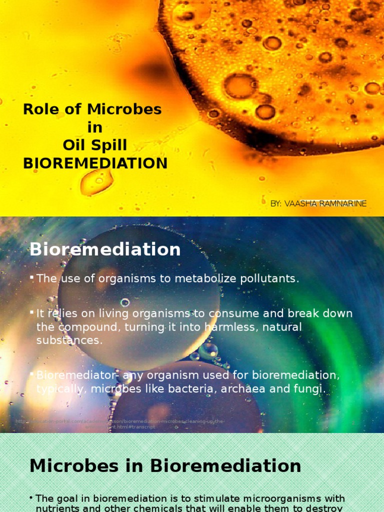 Role of Microbes in Bioremediation | Microorganism | Petroleum | Free ...