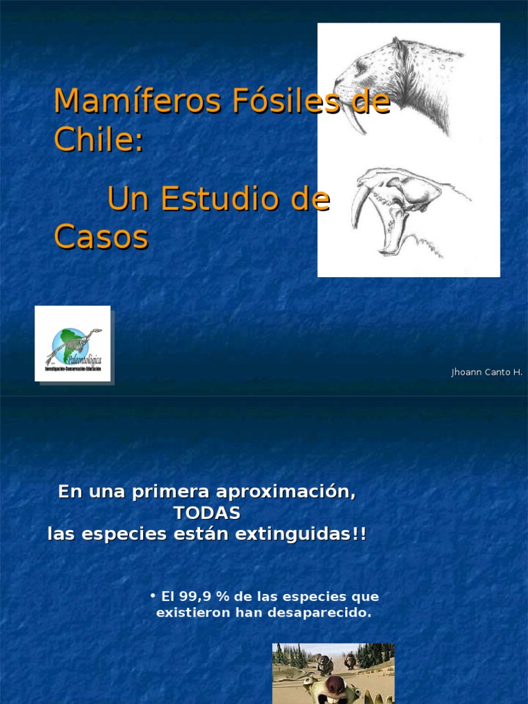Mamíferos Fósiles en Chile: Acrophoca | PDF | Naturaleza