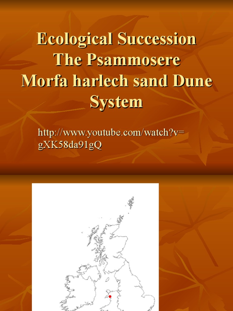 Sand Dune Succession at Morfa Harlech | PDF | Dune | Disturbance (Ecology)