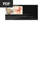 Compact Vs NON Compact Steel Section | PDF | Materials Science ...