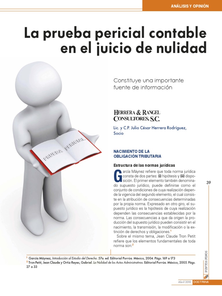 La prueba Pericial en la La Pericia Contable | Evidencia (ley ...
